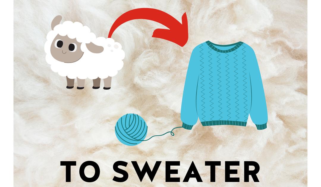 Sheep to Sweater Wool Demo - Downtown | Children's Museum of Richmond